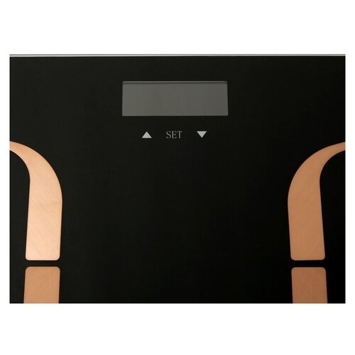 Весы электронные CENTEK CT-2431 Smart, черный/оранжевый