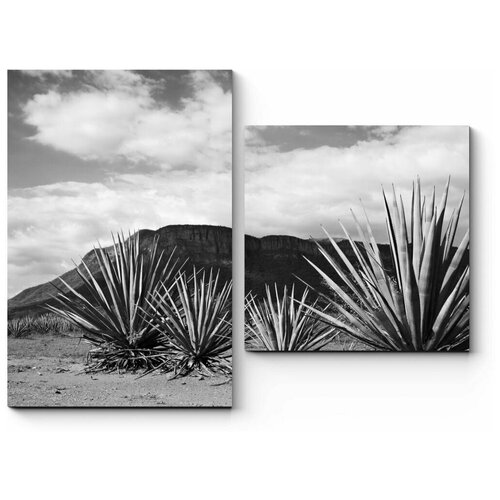 Модульная картина Мексиканский пейзаж 110x83
