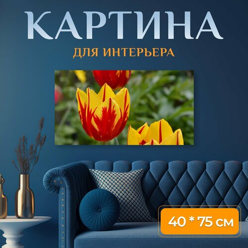 Картина на холсте "Тюльпаны, красный желтый, цветок" на подрамнике 75х40 см. для интерьера