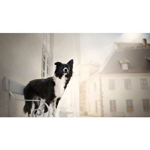 Картина на холсте 60x110 LinxOne "Собака скамья улица" интерьерная для дома / на стену / на кухню / с подрамником