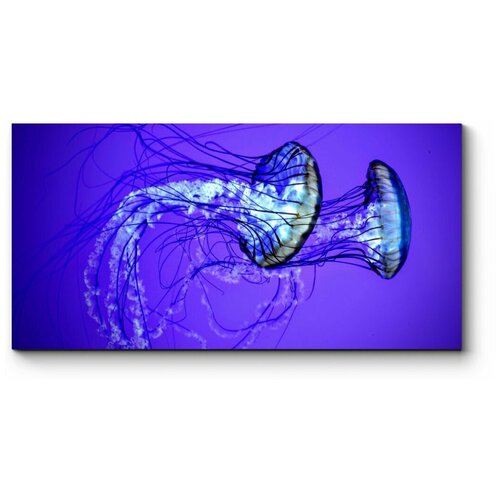 Модульная картина Пара изящных медуз140x70