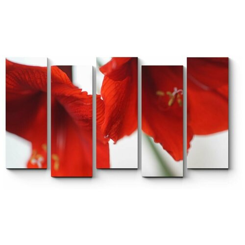 Модульная картина Красные цветы170x98