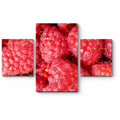 Модульная картина Крупные ягоды малины 160x104