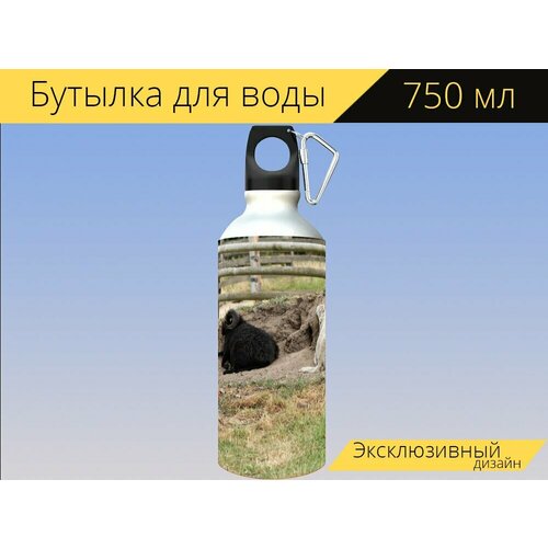 Бутылка фляга для воды "Овец, овен, домашние животные" 750 мл. с карабином и принтом