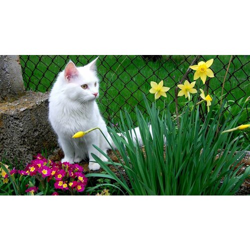 Картина на холсте 60x110 LinxOne "Кошка кот животные цветы" интерьерная для дома / на стену / на кухню / с подрамником
