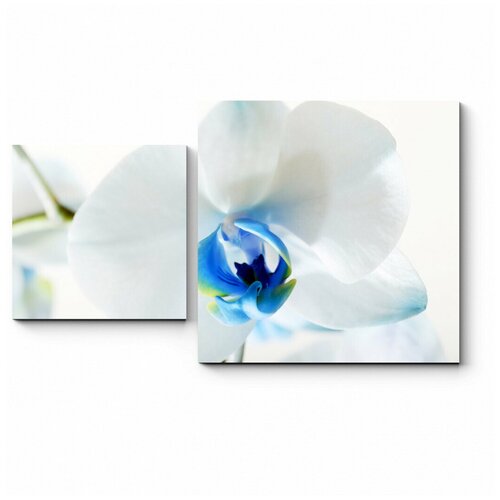Модульная картина Белая орхидея 90x54