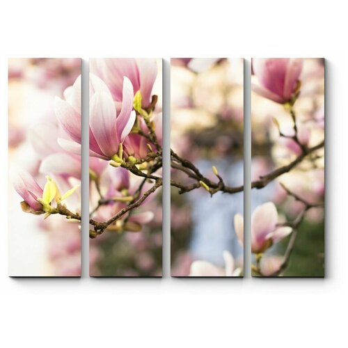 Модульная картина Весны прекрасное цветение 150x113