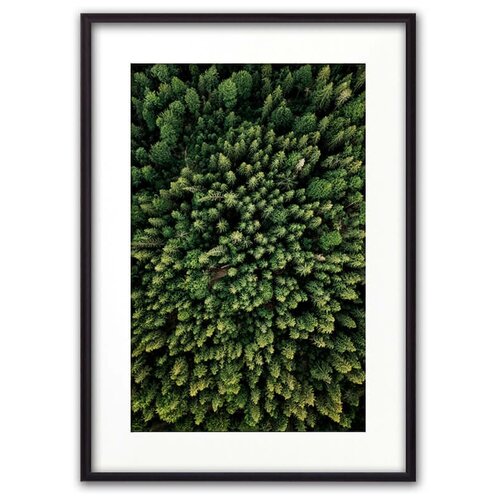 Постер в рамке Зеленый лес с высоты, 40х60 см