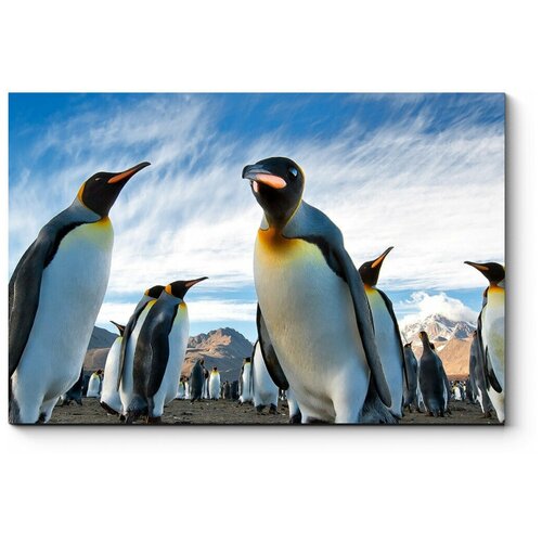 Модульная картина Любопытные пингвины 110x73