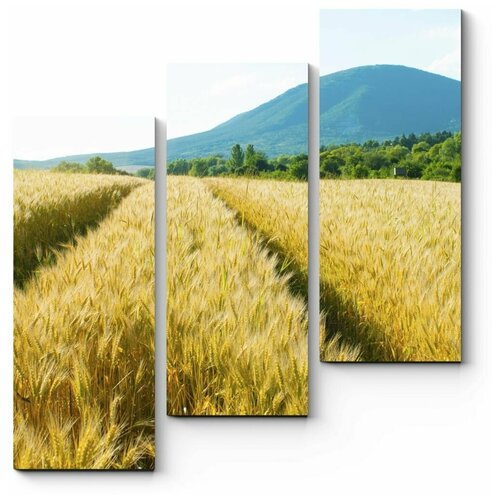Модульная картина Пшеничное поле в лучах солнца 120x128