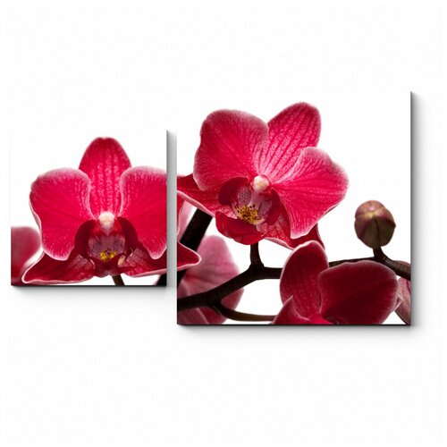 Модульная картина Магия орхидей 140x84
