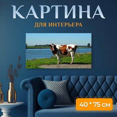 Картина на холсте "Корова, дойная корова, красный мех" на подрамнике 75х40 см. для интерьера