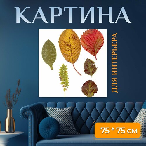 Картина на холсте "Листья, осень, красочный" на подрамнике 75х75 см. для интерьера