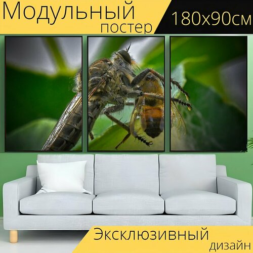 Модульный постер "Насекомое, пчела, добыча" 180 x 90 см. для интерьера