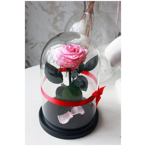 Живая Роза в колбе Therosedome Premium 6-7 см стабилизированная, цветок в колбе, вечная роза, подарок, декор для интерьера, цвет: светло-розовая