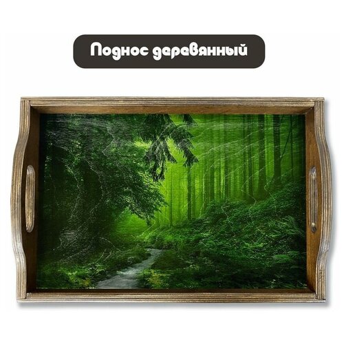 Деревянный поднос с рисунком пейзаж лес, деревья, горы, озеро, эстетика - 355