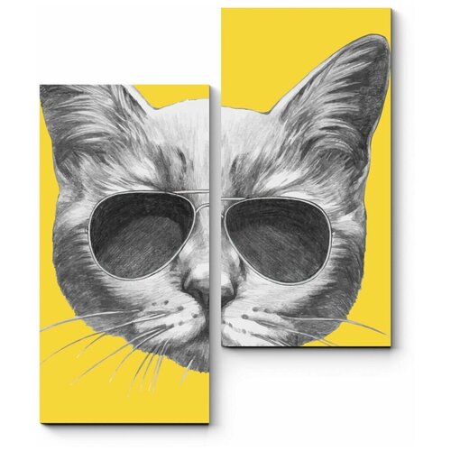 Модульная картина Просто серый кот в очках 90x113