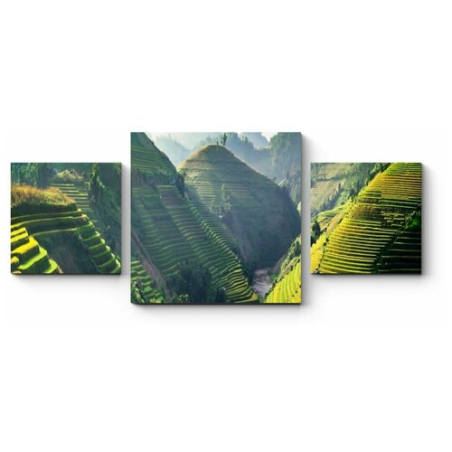 Модульная картина Вьетнамские рисовые поля в горах 150x64