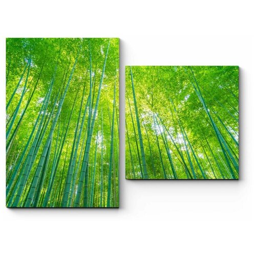 Модульная картина Бамбуковый лес 160x120