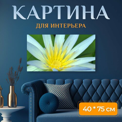 Картина на холсте "Лотос, цветок, цветок лотоса" на подрамнике 75х40 см. для интерьера