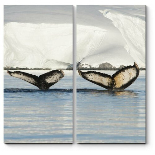 Модульная картина Пара влюбленных китов 100x100