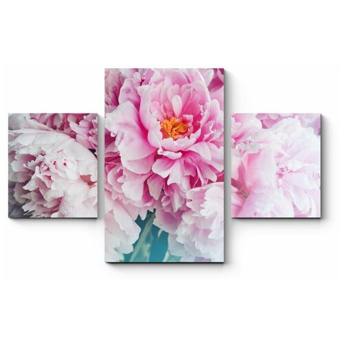 Модульная картина Нежно-розовые пионы 160x104