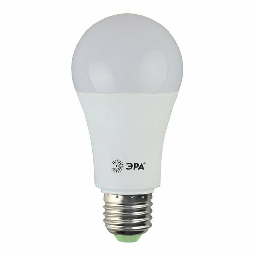 Светодиодная лампа ЭРА 19 Вт E27/А холодный свет