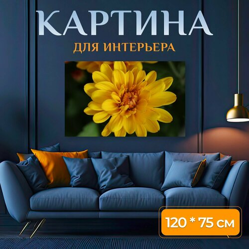 Картина на холсте "Цветок, хризантема, цветы" на подрамнике 120х75 см. для интерьера