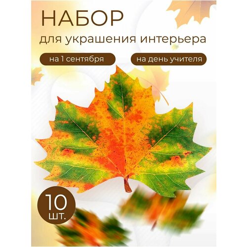 Осенний набор мини плакатов "Кленовый лист", 25 см, 10 шт.