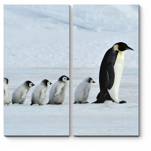 Модульная картина Семейство пингвинов на прогулке 80x80