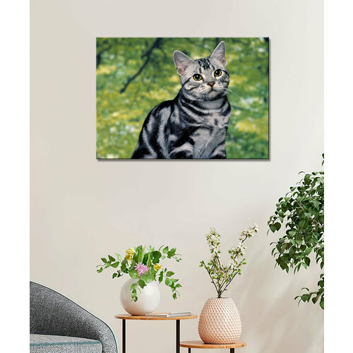 Картина - кошка, американская короткошёрстная кошка, домашняя кошка, ласковая кошка, кот (204) 60х80