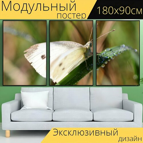 Модульный постер "Бабочка, крылья, усики" 180 x 90 см. для интерьера
