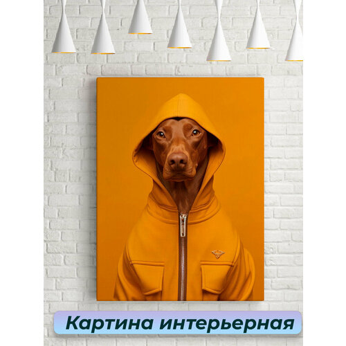 Картины для интерьера 50х70 Собака в капюшоне рыжий пес