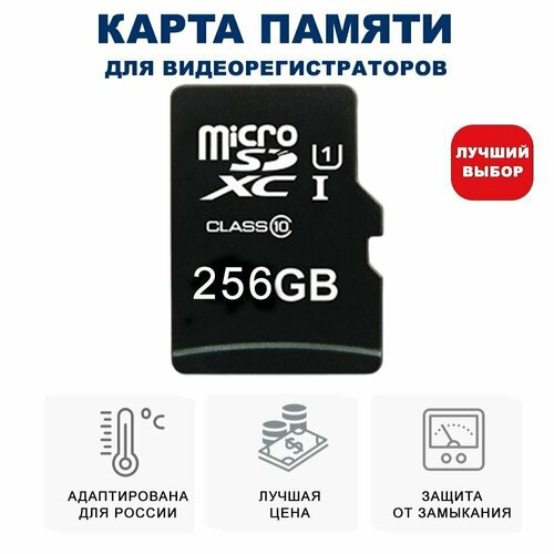 Карта памяти Blackview microSDXC 256ГБ (SDCS2/256GBSP)