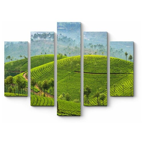 Модульная картина Красота зеленых полей 115x92