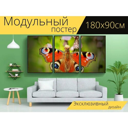 Модульный постер "Фея павлин, бабочки дневные, насекомое" 180 x 90 см. для интерьера