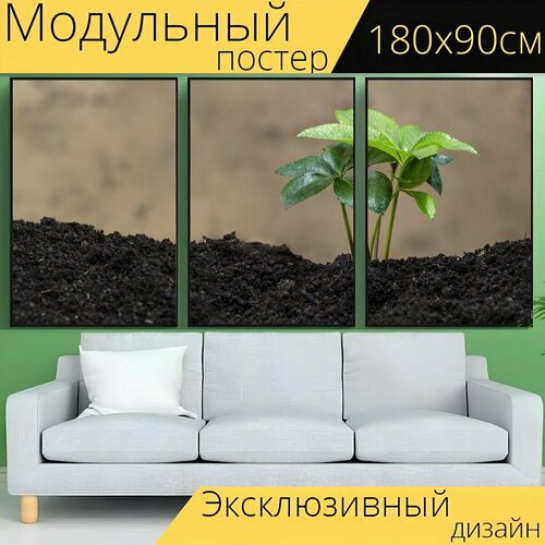 Модульный постер "Зелёное растение, биография, экология" 180 x 90 см. для интерьера