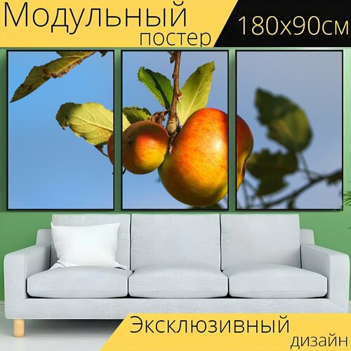 Модульный постер "Яблоки, фрукты, яблоня" 180 x 90 см. для интерьера