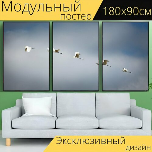 Модульный постер "Цапля, серая цапля, оперение" 180 x 90 см. для интерьера