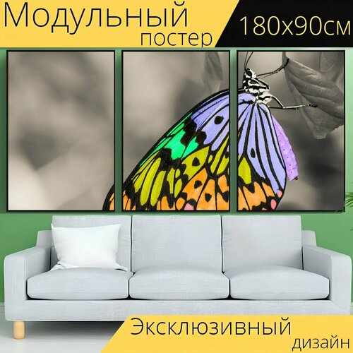 Модульный постер "Красочный, насекомое, бабочка" 180 x 90 см. для интерьера
