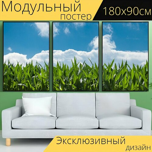 Модульный постер "Кукурузное поле, ферма, облака" 180 x 90 см. для интерьера