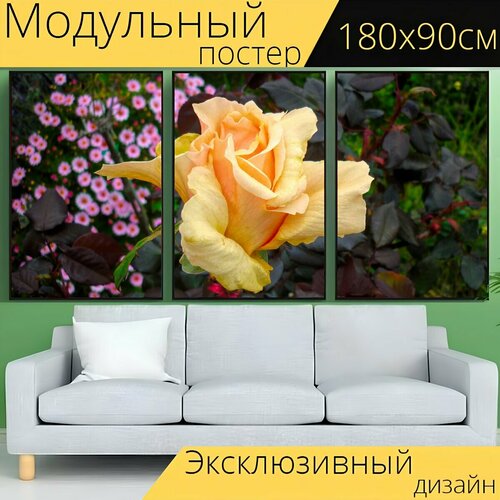 Модульный постер "Цветок, роза, флора" 180 x 90 см. для интерьера