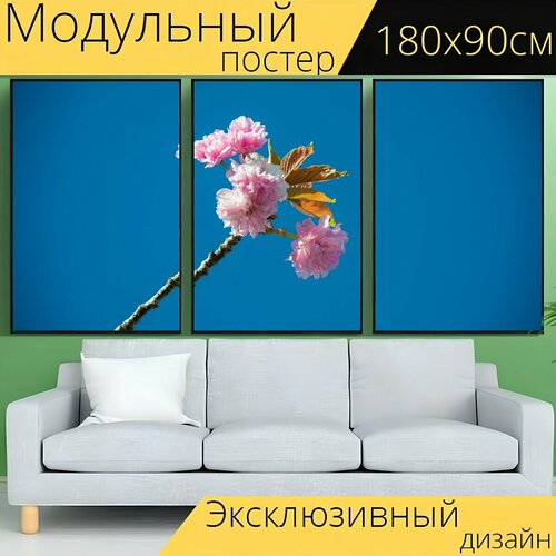 Модульный постер "Цветы, весна, кизил" 180 x 90 см. для интерьера