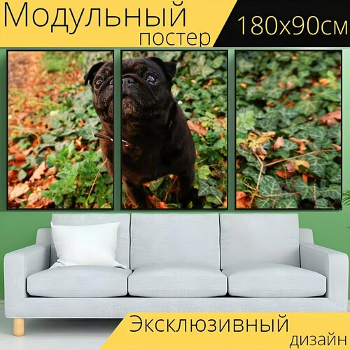 Модульный постер "Собака, мопс, милый" 180 x 90 см. для интерьера