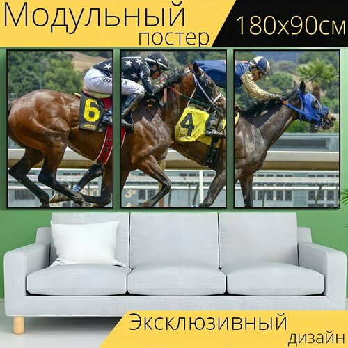 Модульный постер "Лошадь, скачки, гонка" 180 x 90 см. для интерьера