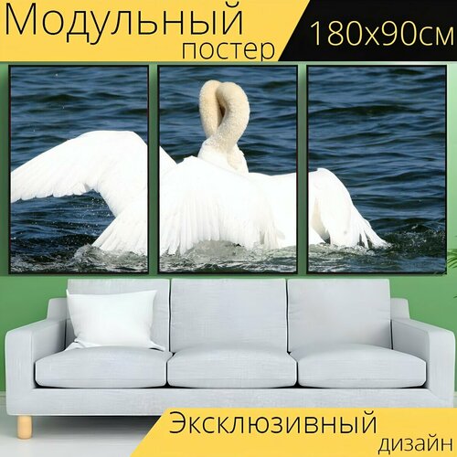 Модульный постер "Танец лебедя, озеро, водоплавающая птица" 180 x 90 см. для интерьера