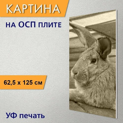 Вертикальная картина на ОСП "Кролики, кролик, животное" 62x125 см. для интерьериа