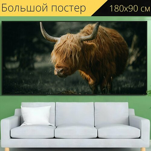 Большой постер "Рог, крупный рогатый скот, коровы" 180 x 90 см. для интерьера