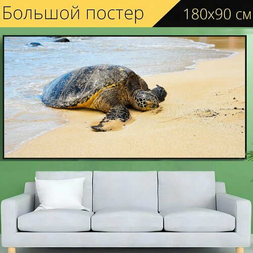 Большой постер "Черепаха, пляж, вода" 180 x 90 см. для интерьера