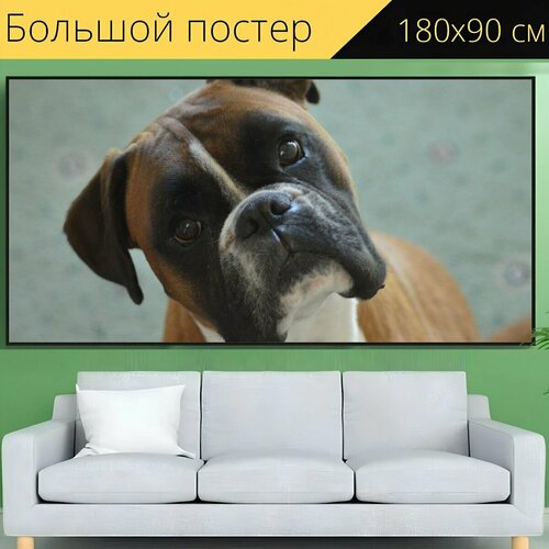 Большой постер "Боксер, боксер собаки, домашний питомец" 180 x 90 см. для интерьера